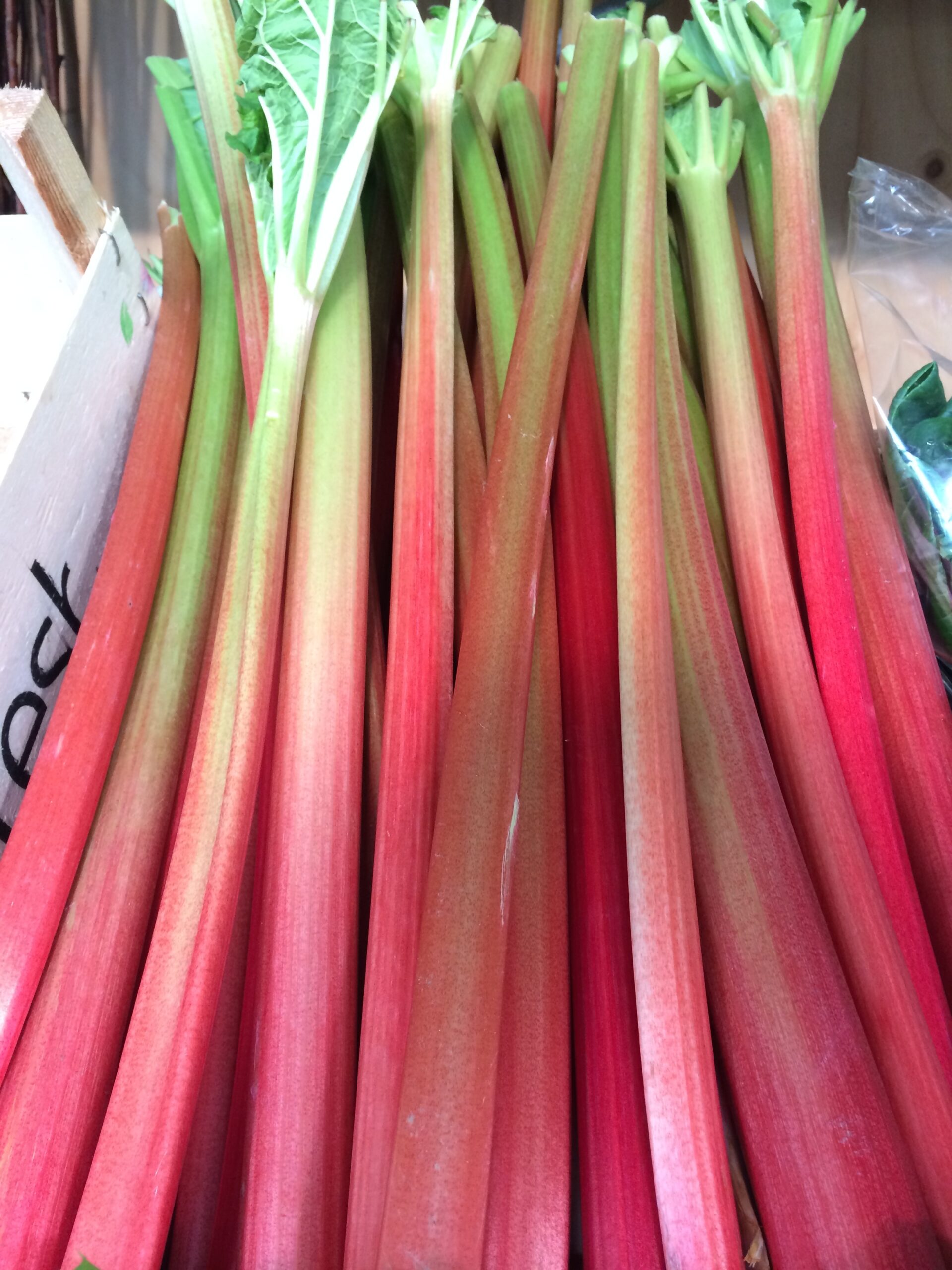 De Groene Meisjes op Instagram #47 - De Groene Meisjes